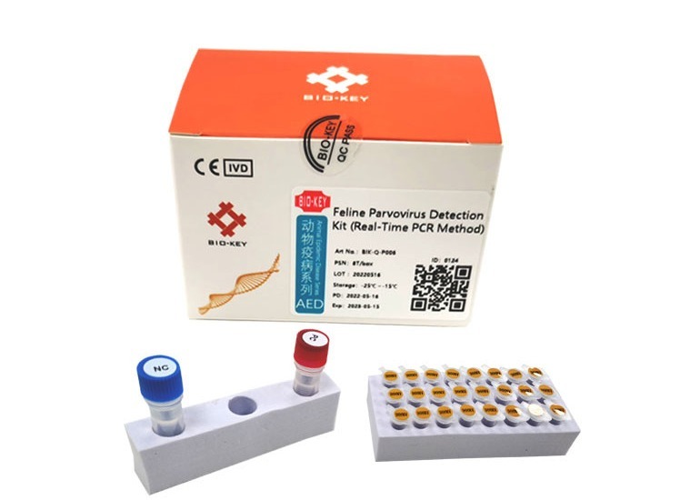 Prueba felina Cat Real Time Quantitative de Cat Test Kit Parvo FPV de ...